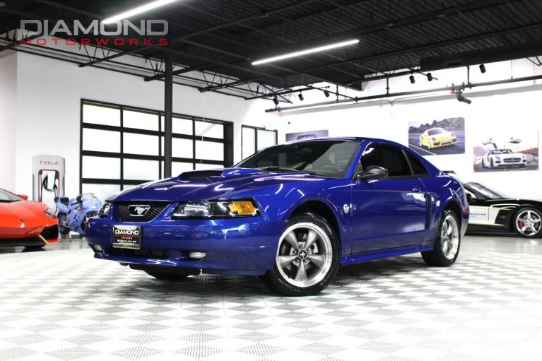 Cobalt Blue Mustang
